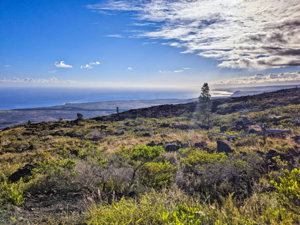 Hawaii Volcanoes National Park: Amazing Things to Do and Experience ...