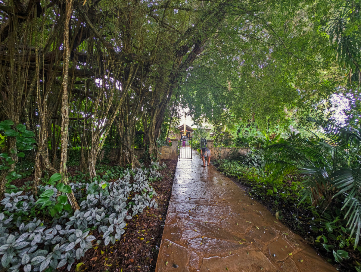 Visiting Kauai's Hindu Monastery in the Hills Above Kapa'a