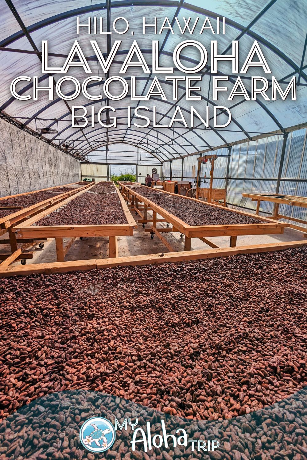 Lavaloha Chocolate Farm: Beautiful Cacao Farm Tours near Hilo