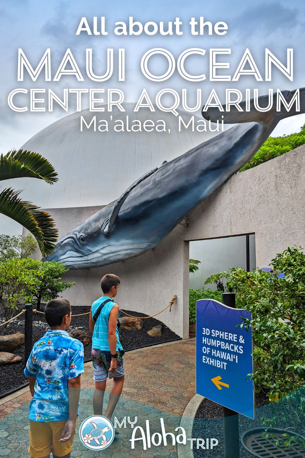 The Maui Ocean Center: Maui's Beautiful Aquarium near Kihei