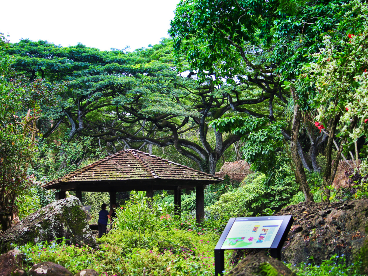 Waimea Valley: Botanical Garden & Beautiful Waterfall Swimming