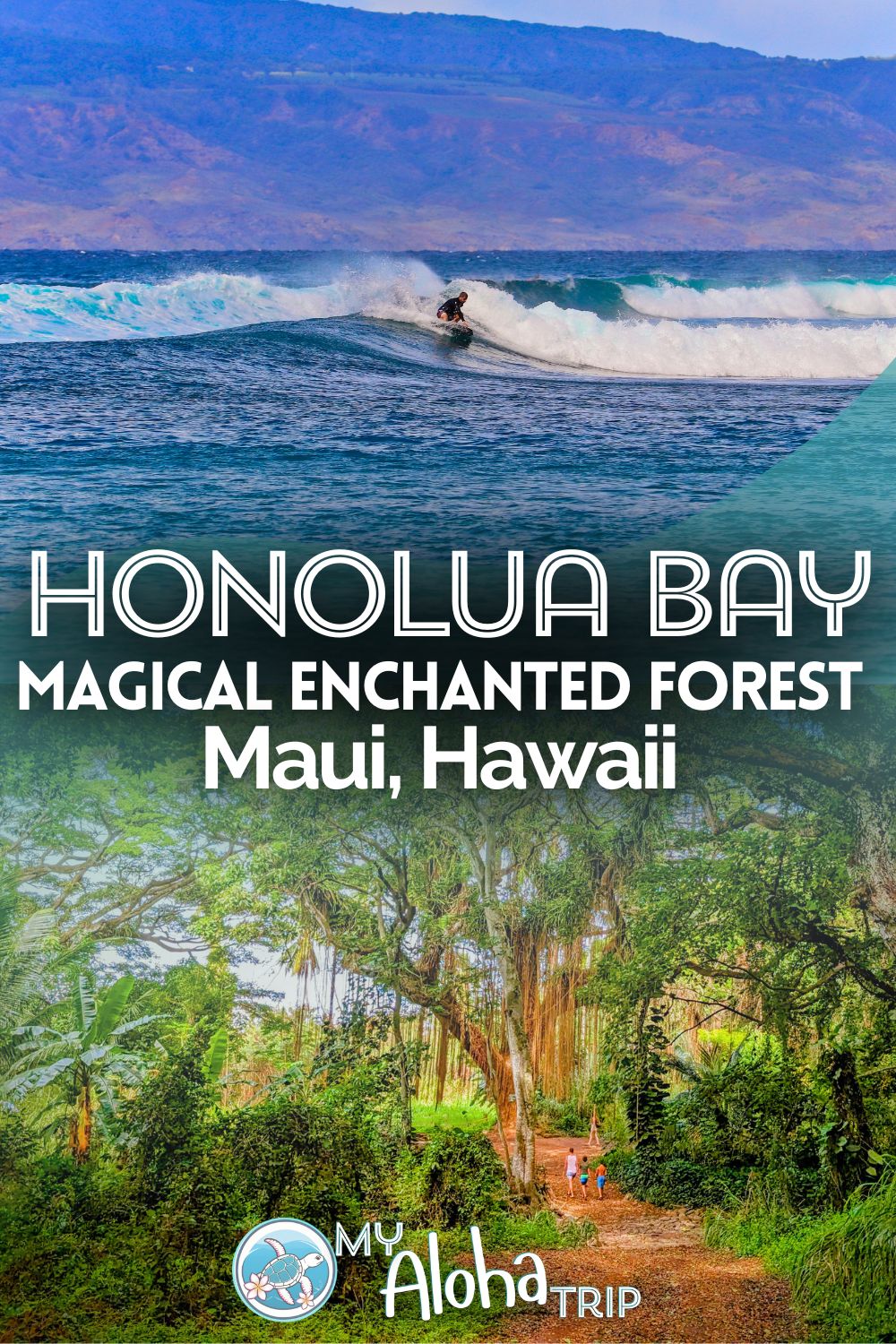 Honolua Bay and the Beautiful Magical Enchanted Forest of Maui