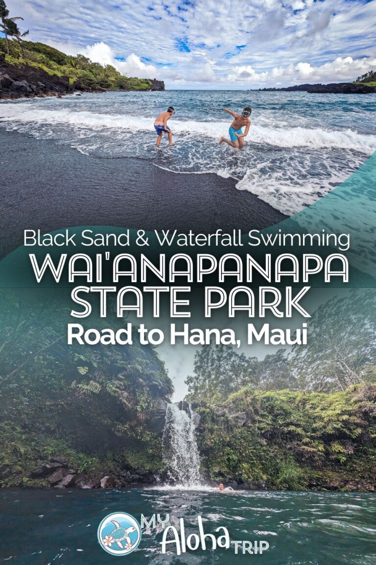Wai'anapanapa State Park: Black Sand Beach on the Road to Hana