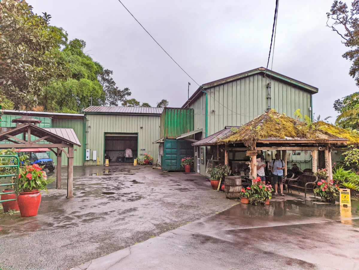 Kona's Mountain Thunder Coffee Plantation in the Cloud Forest