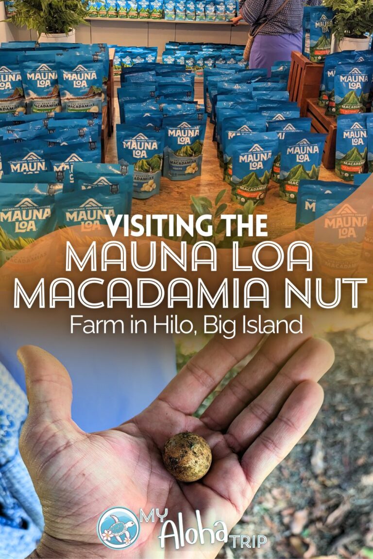 Mauna Loa Macadamia Nut Farm - Snack Heaven on the Big Island