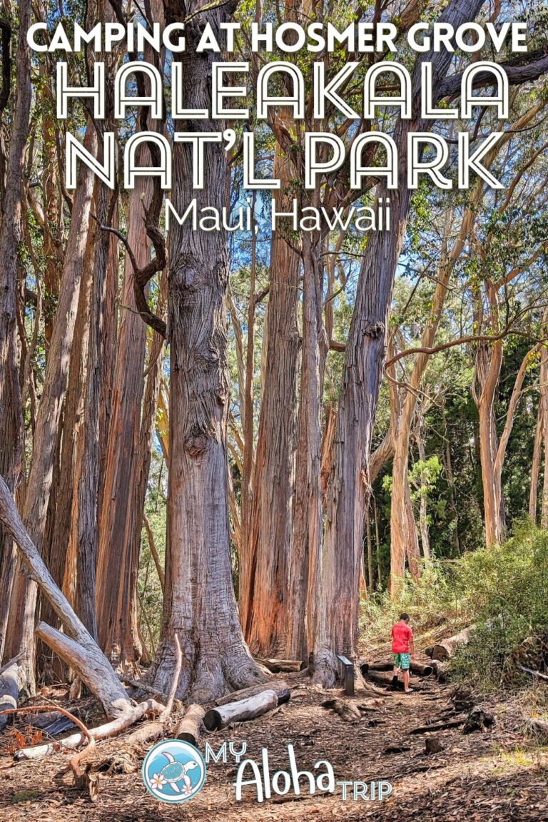 Camping at Hosmer Grove in Beautiful Haleakala National Park