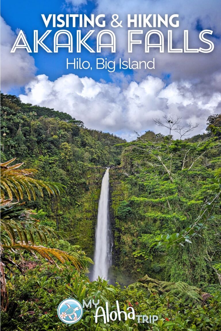 Beautiful Akaka Falls State Park: Hilo's Epic Waterfall Experience