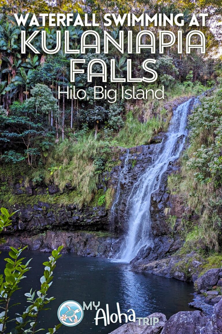 Day Visit to Kulaniapia Falls for Beautiful Waterfall Swimming