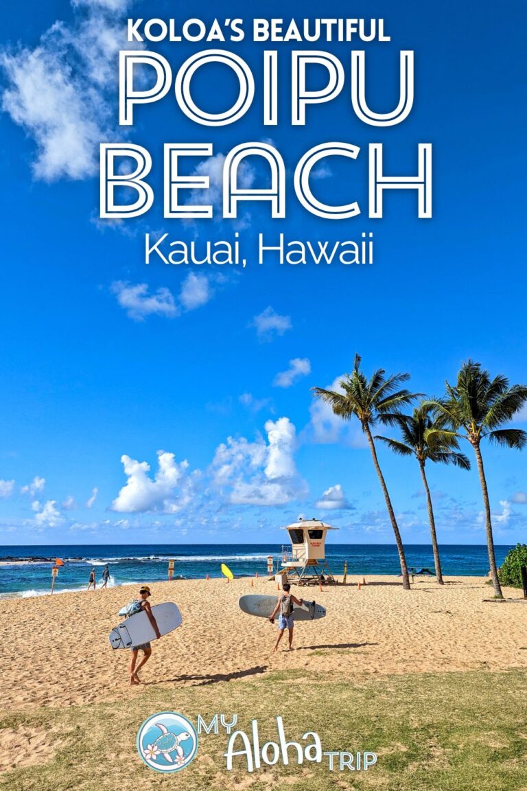 Everything You Need to Know about Poipu Beach, Koloa, Kauai