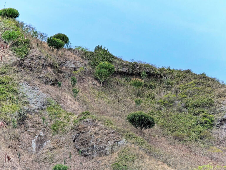 Koko Crater Botanical Garden: Easy, Beautiful Hiking on Oahu